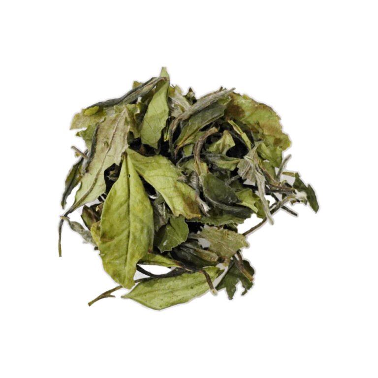 White Tea Types: A Complete Guide to White Tea Varieties