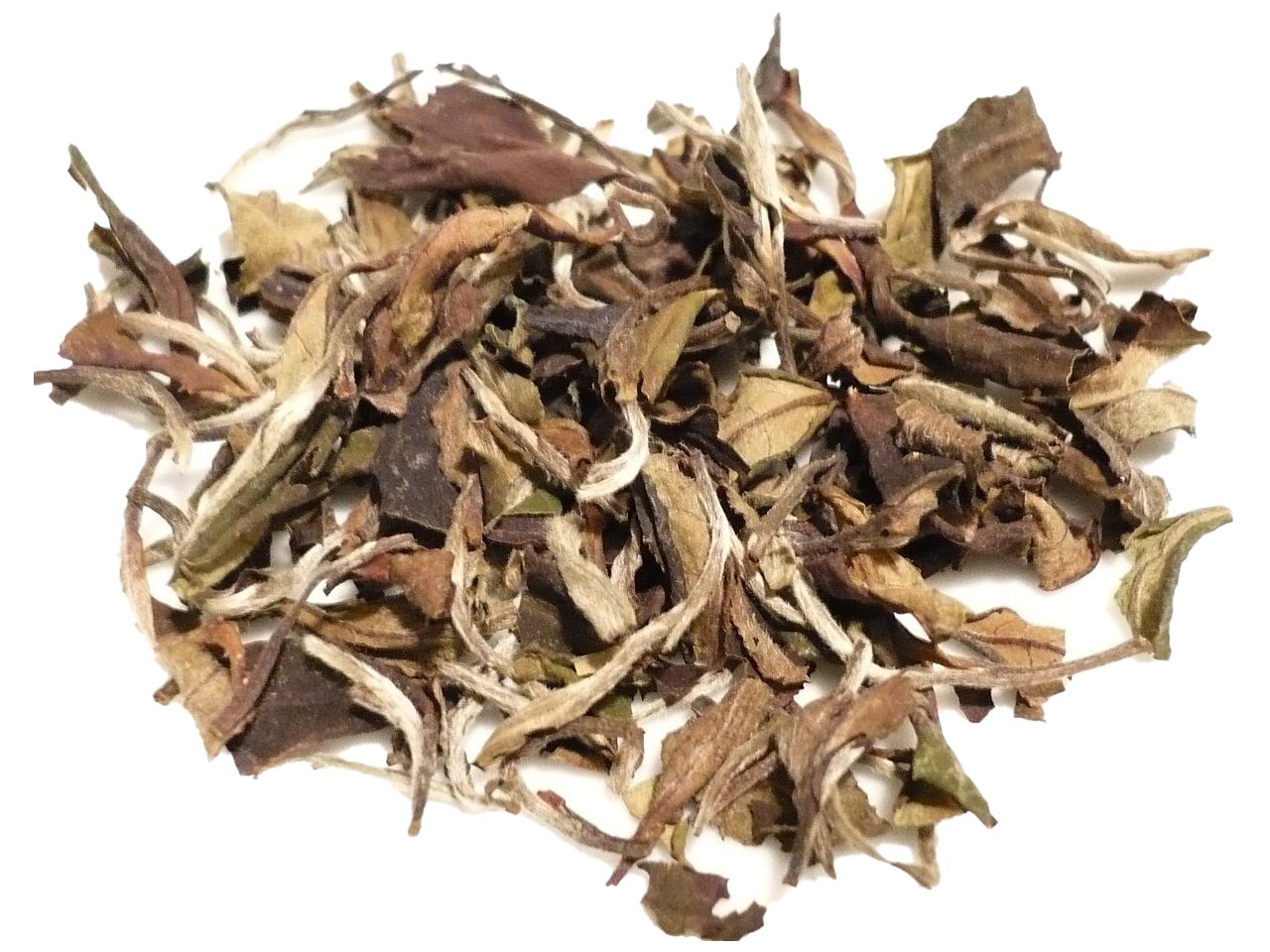 White Tea Types: A Complete Guide to White Tea Varieties