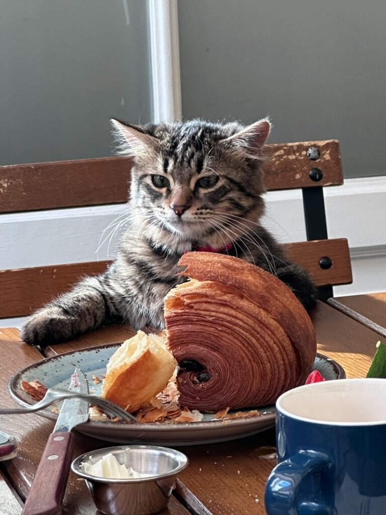 Master Tea Tasting Vocabulary: Describe Tea with Precision